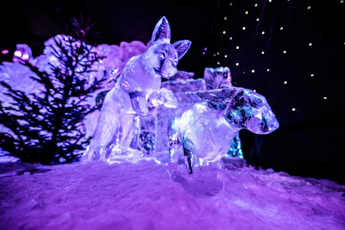 Startseite Neu - Ice Magic - Die Eishauptstadt